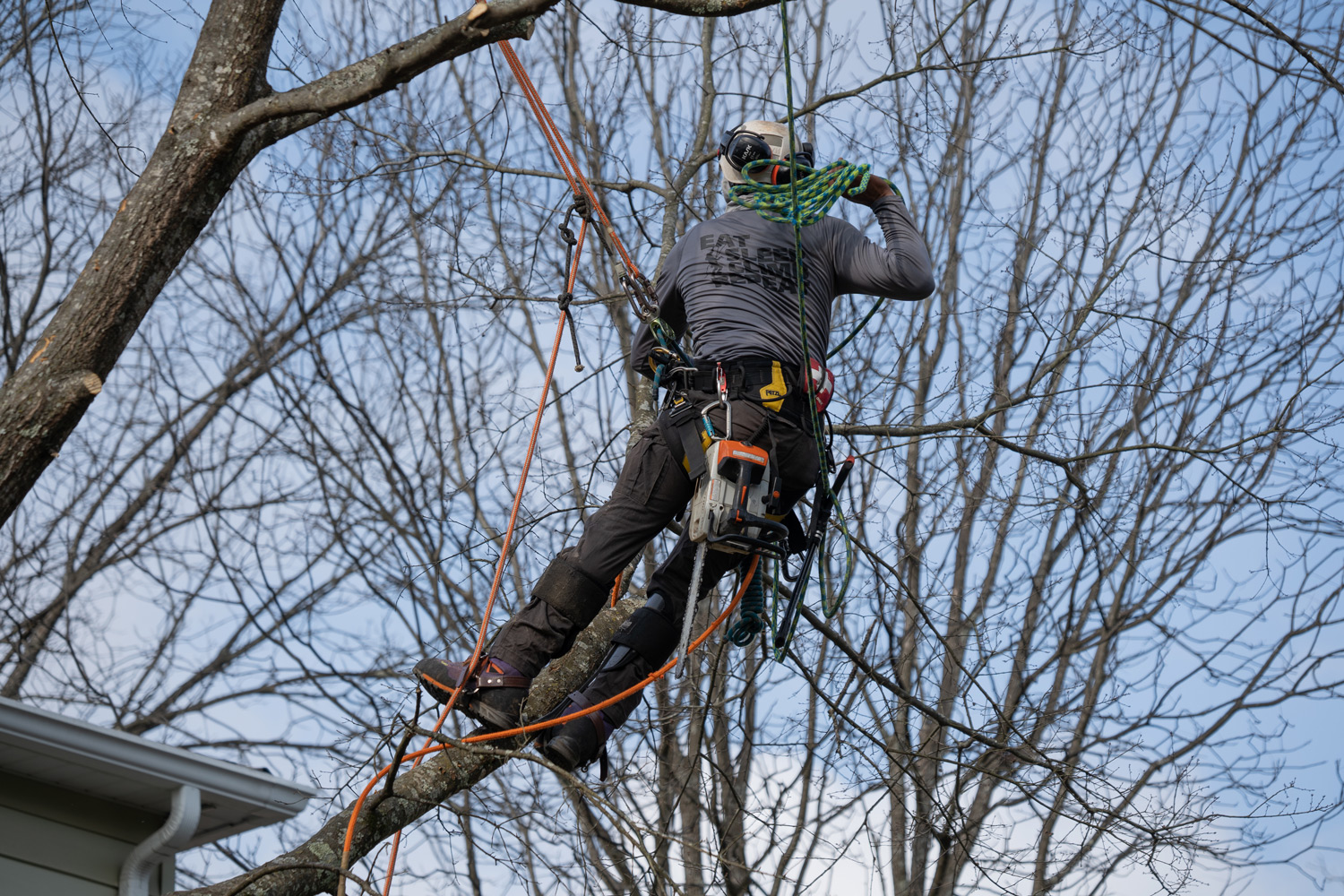 Tree Removal Specialist In SC - Tree Dimensions - Free Estimates
